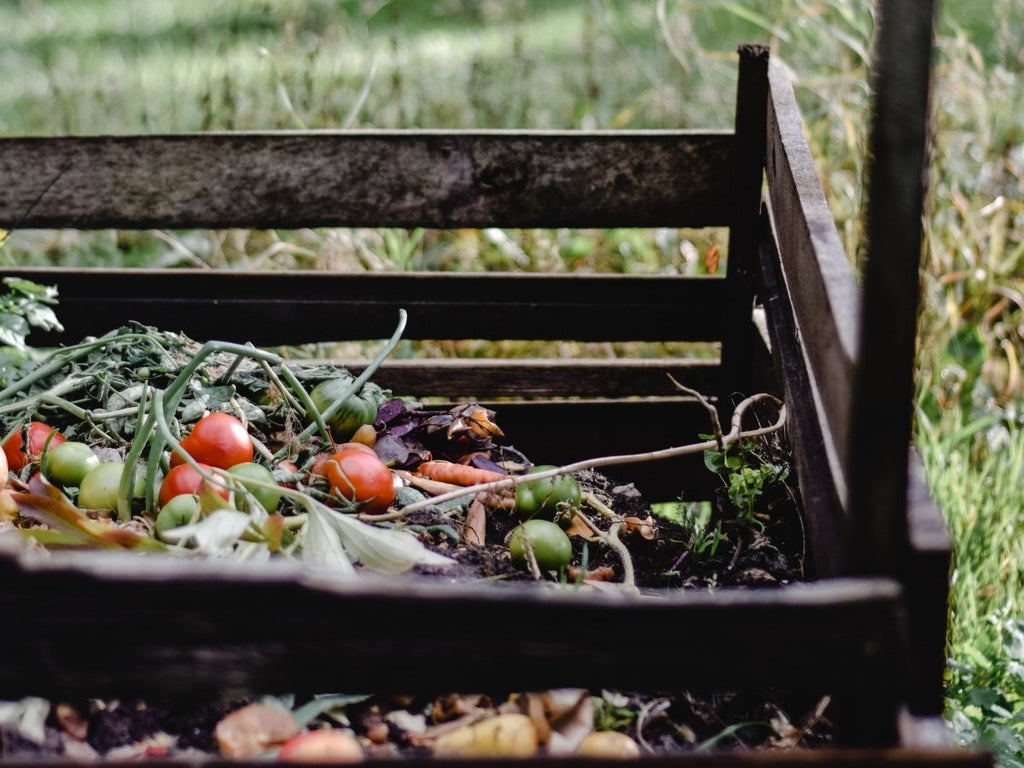 Composting Simplified: How to Start and Maintain Your Compost with Eas ...