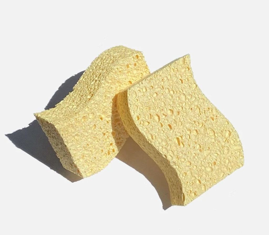 How Eco-Friendly is Your Dish Sponge? 5 Reasons Give Up Plastic Sponge ...