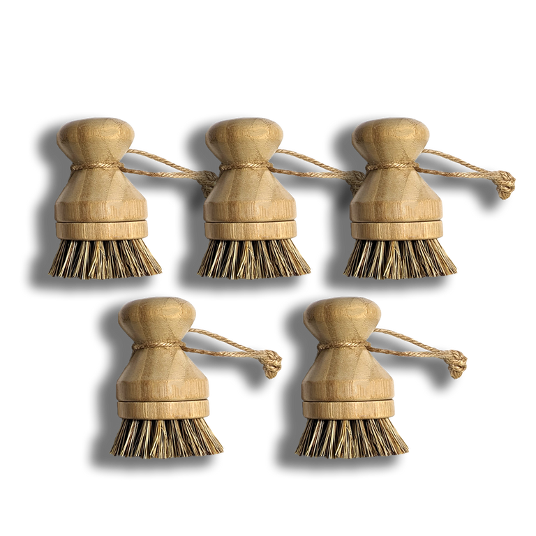 Eco-Friendly Palm Scrub Brush - Natural, Plastic-Free, Sustainable ...