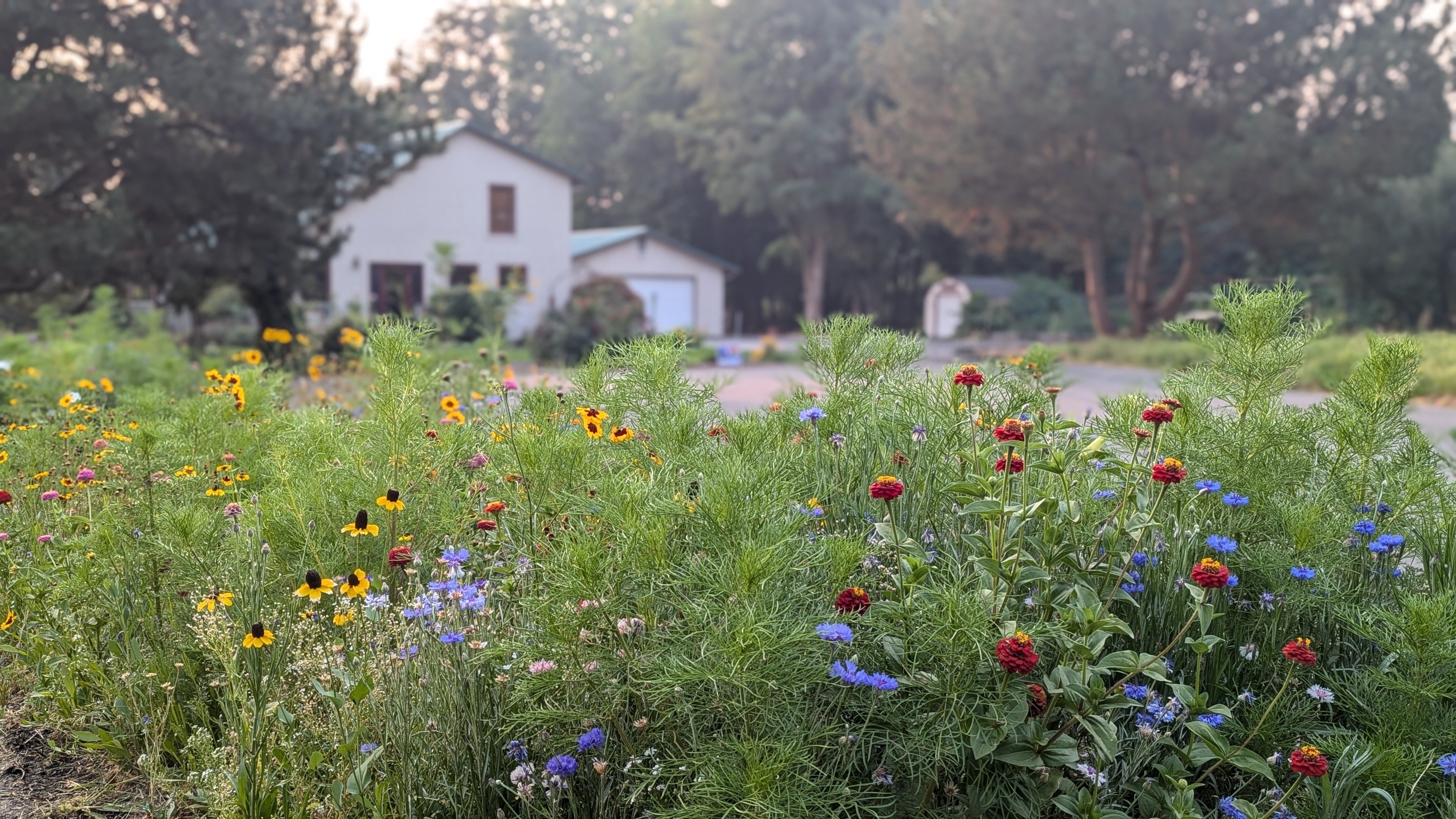 About Us – Zero Waste Outlet